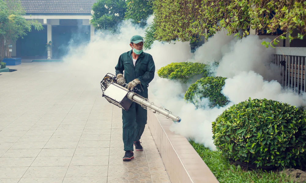 Safeguard Your Trees: Expert Strategies to Keep Them Moth-Free ...